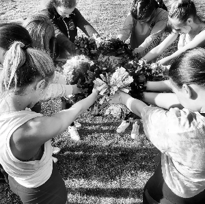 Max Velocity Cheer Home